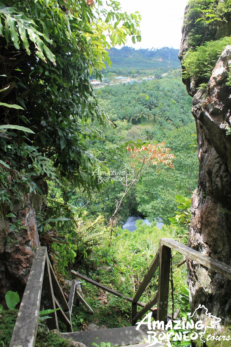 Borneo, Mulu, Gomantong, Batu Tulug, Caves, Birds Nest Soup, Bats ...